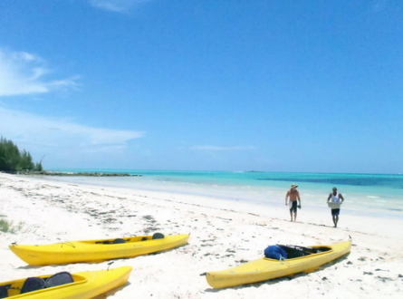 Freeport Bahamas Excursions - Bahamas 5-4